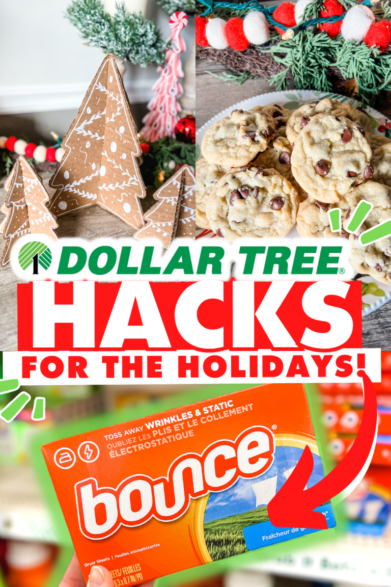 20+ Unique Dollar Tree Hacks for Christmas! Save time, money (+ your ...