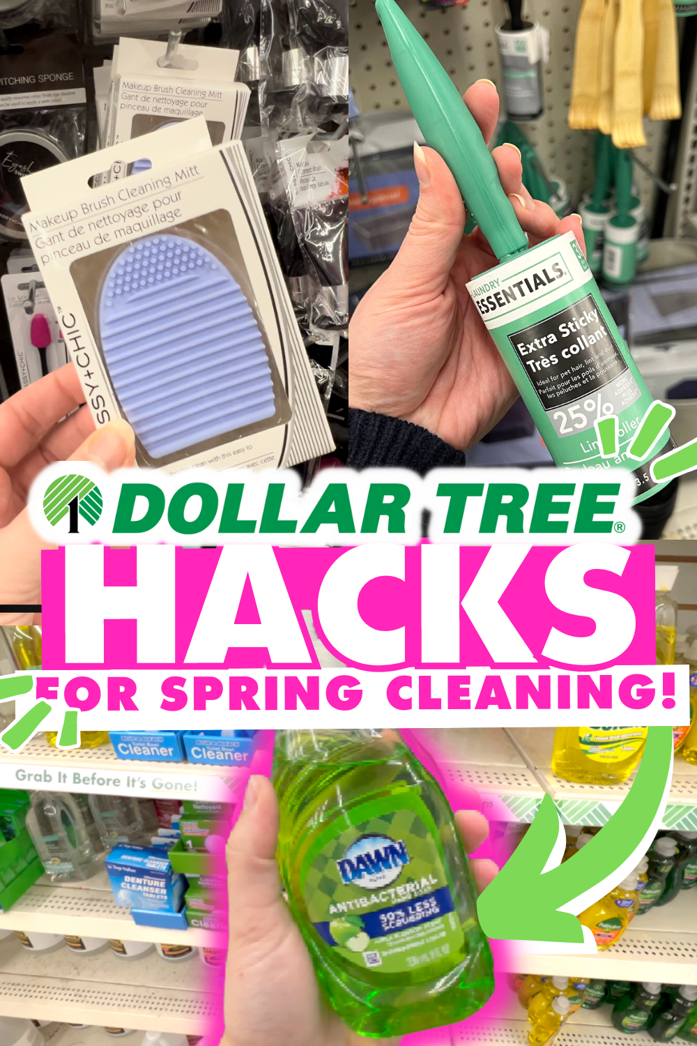 20+ GENIUS Spring Dollar Tree Hacks & Finds: Cleaning, Decor & Travel ...