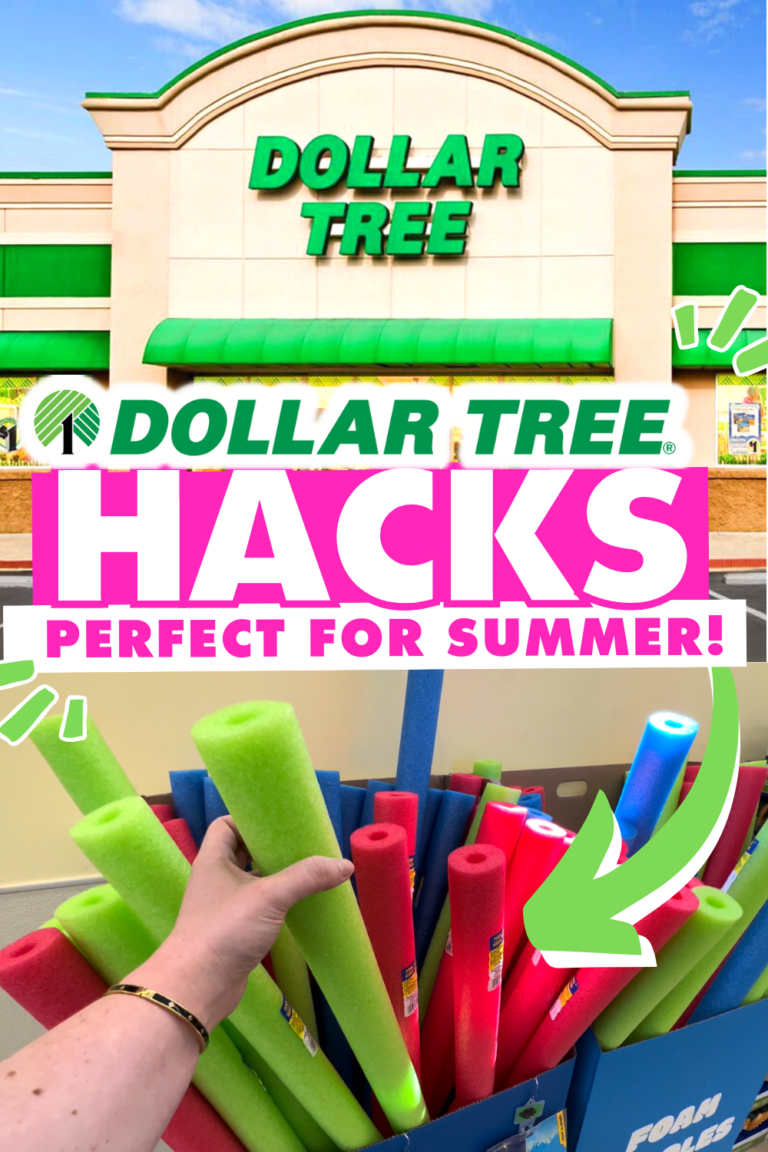 LIFE CHANGING + Dollar Tree Hacks you NEED to know this Summer ...