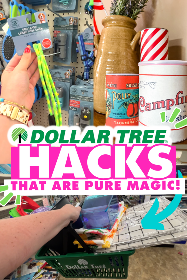 LIFE CHANGING + Dollar Tree Hacks you NEED to know this Summer ...