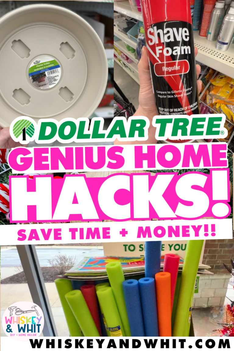 ALL NEW Magic Dollar Tree Hacks you MUST TRY Today! - Whiskey & Whit